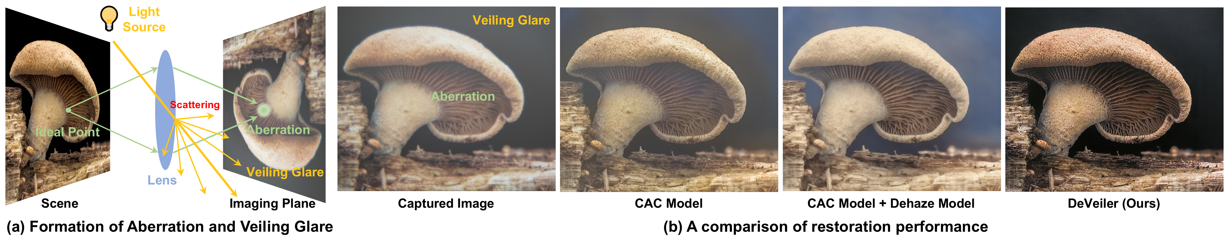 Learning Latent Transmission and Glare Maps for Lens Veiling Glare Removal